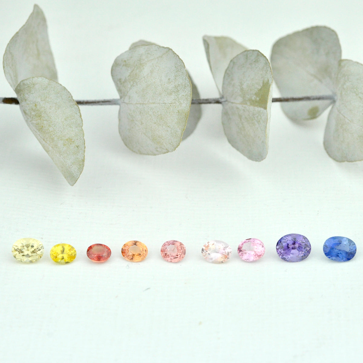 Sapphire - Birthstone for September – Sinead Buckney